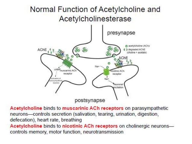 1 Mechanism of action of toxic agents (1).pptx