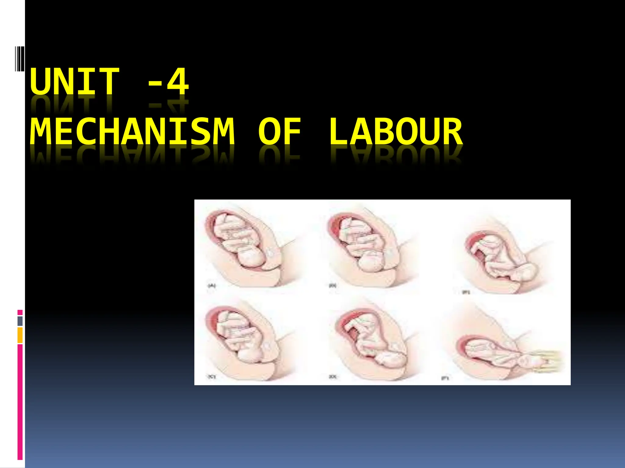 MECHANISM OF LABOUR- OBSTETRICS AND GYNAECOLOGY | PPT