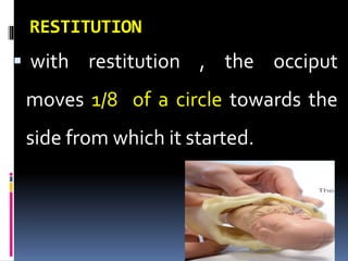 MECHANISM OF LABOUR- OBSTETRICS AND GYNAECOLOGY | PPT
