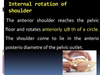 MECHANISM OF LABOUR- OBSTETRICS AND GYNAECOLOGY | PPT