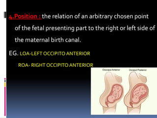 MECHANISM OF LABOUR- OBSTETRICS AND GYNAECOLOGY | PPT | Pregnancy ...