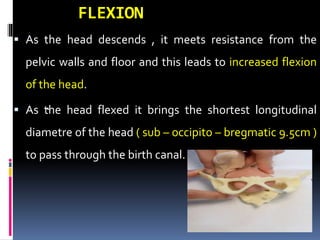 MECHANISM OF LABOUR- OBSTETRICS AND GYNAECOLOGY | PPT | Pregnancy ...