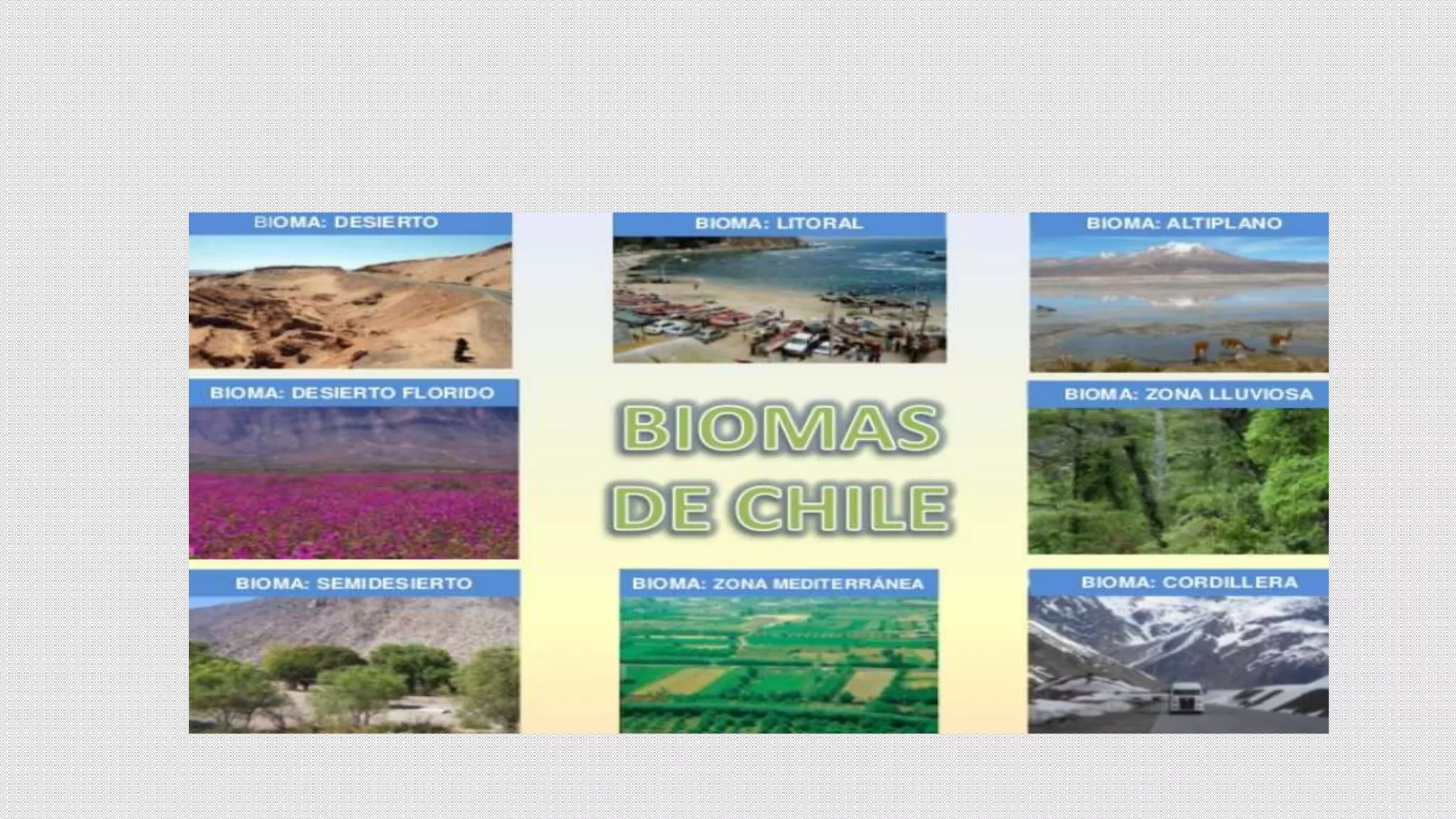 1medios ecosistemas y biomas.pptx
