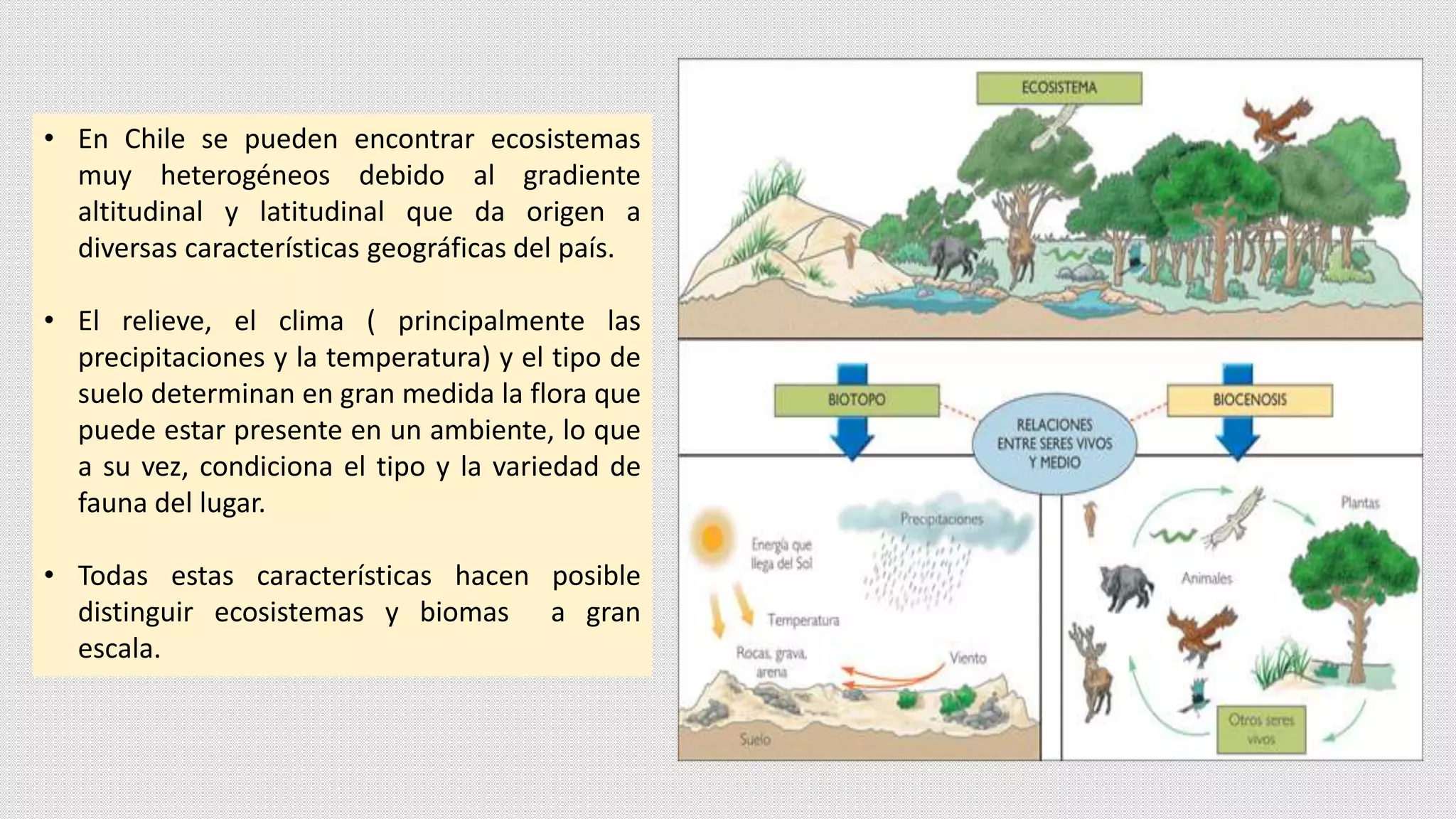 1medios ecosistemas y biomas.pptx