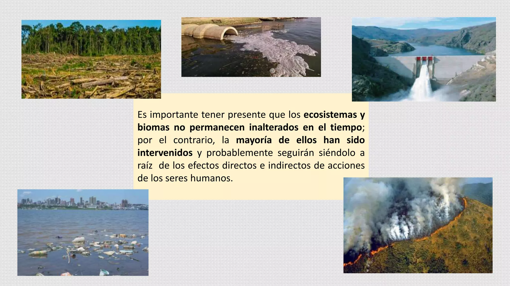 1medios ecosistemas y biomas.pptx