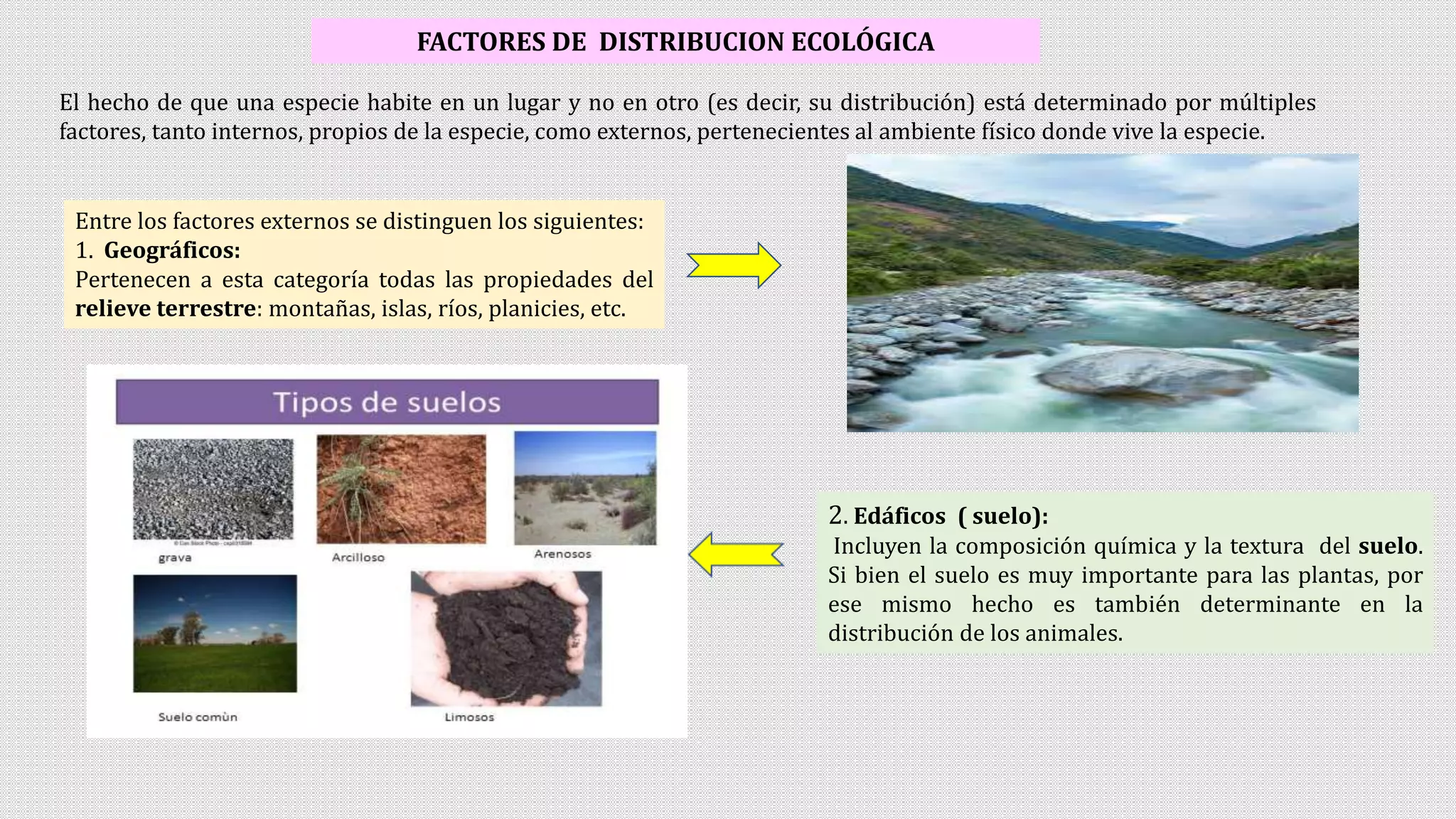 1medios ecosistemas y biomas.pptx