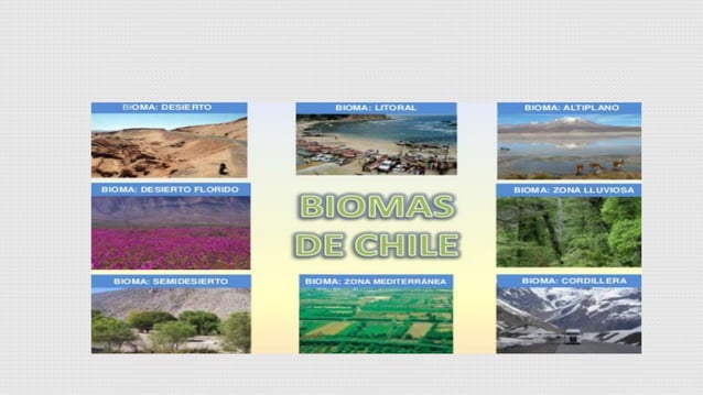 1medios ecosistemas y biomas.pptx