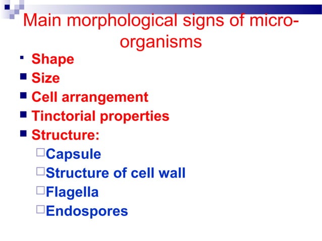 morphology of micro-organisms | PPT | Biological Sciences | Science