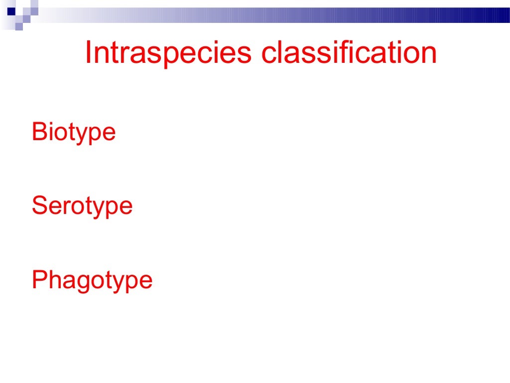 morphology of micro-organisms