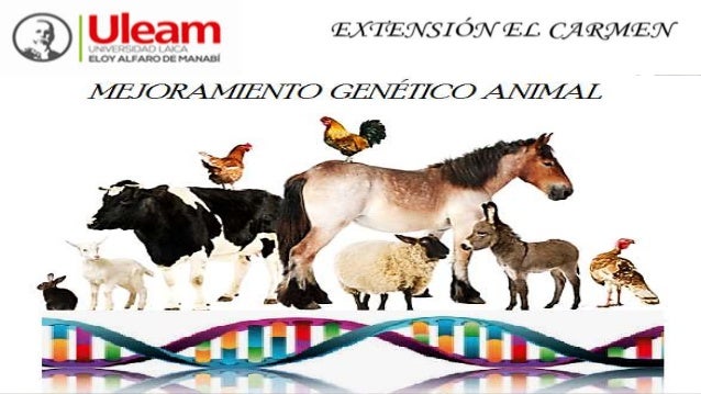 Mejoramiento genetico animal