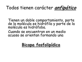 1 membrana plasmática viejo | PDF