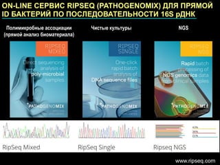 Modern taxonomy and classification of bacteria (RUS) | PPT