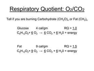 metabolism and nutrition | PPTX