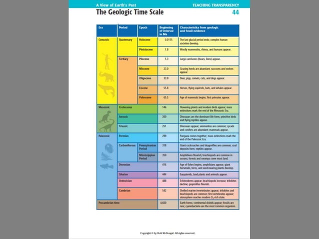 1 meter Geological Timeline.ppt