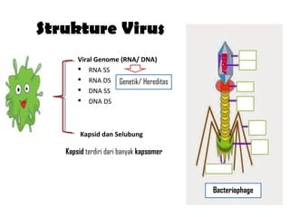 history and structure of virus | PPT