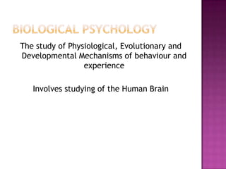 1 mind brain relationship | PPTX | Biological Sciences | Science