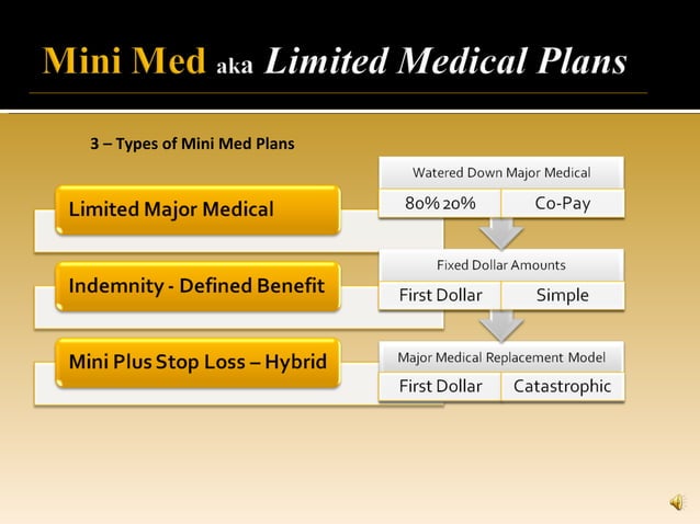 1 Mini Med Types With Naration Final | PPT | Personal Taxes | Personal ...