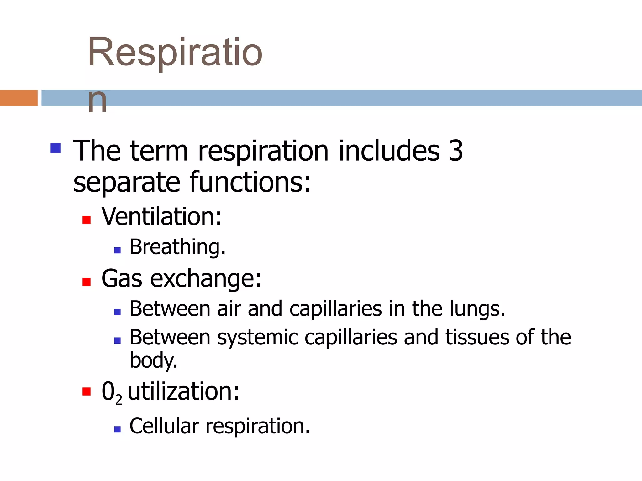 physiology_of_respiration_.pptx | Lung and Respiratory Health | Diseases and Conditions