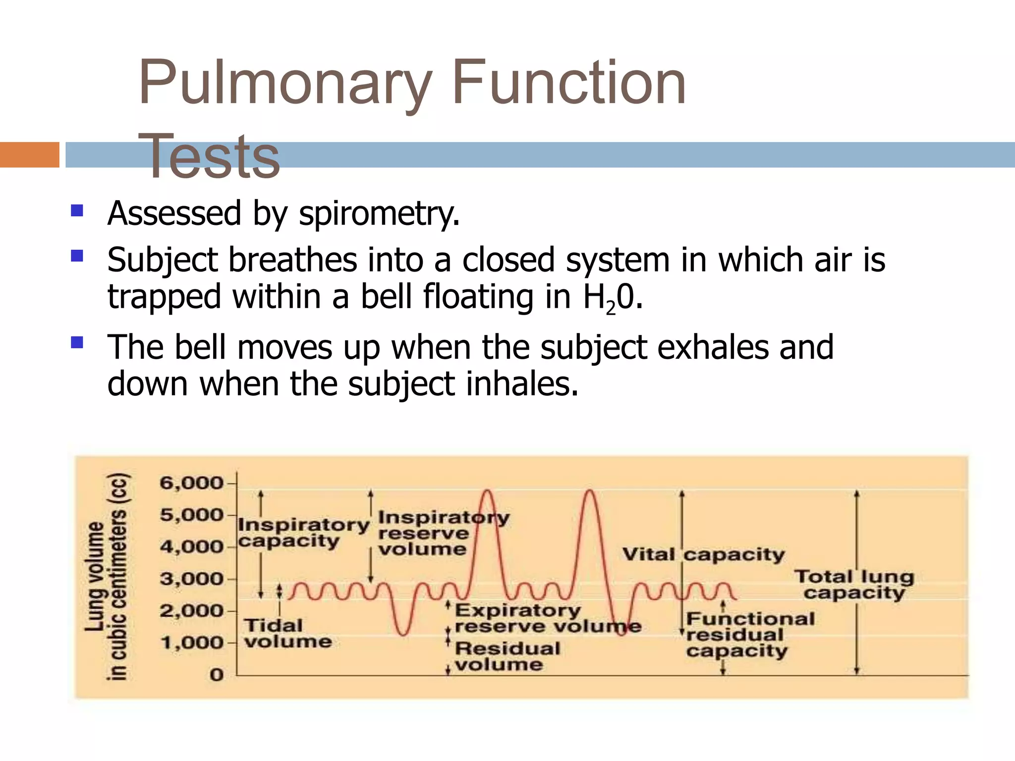 physiology_of_respiration_.pptx | Lung and Respiratory Health ...