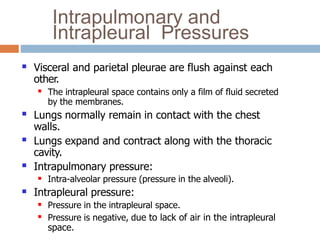 physiology_of_respiration_.pptx