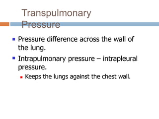 physiology_of_respiration_.pptx