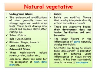 modes of reproduction in crops | PPTX