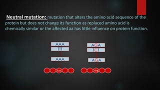 Molecular mechanism of Mutation | PPTX