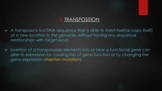 Molecular mechanism of Mutation | PPTX