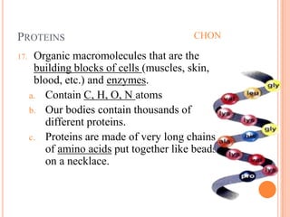 1 molecules of life | PPT