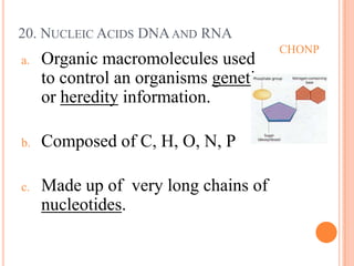 1 molecules of life | PPTX