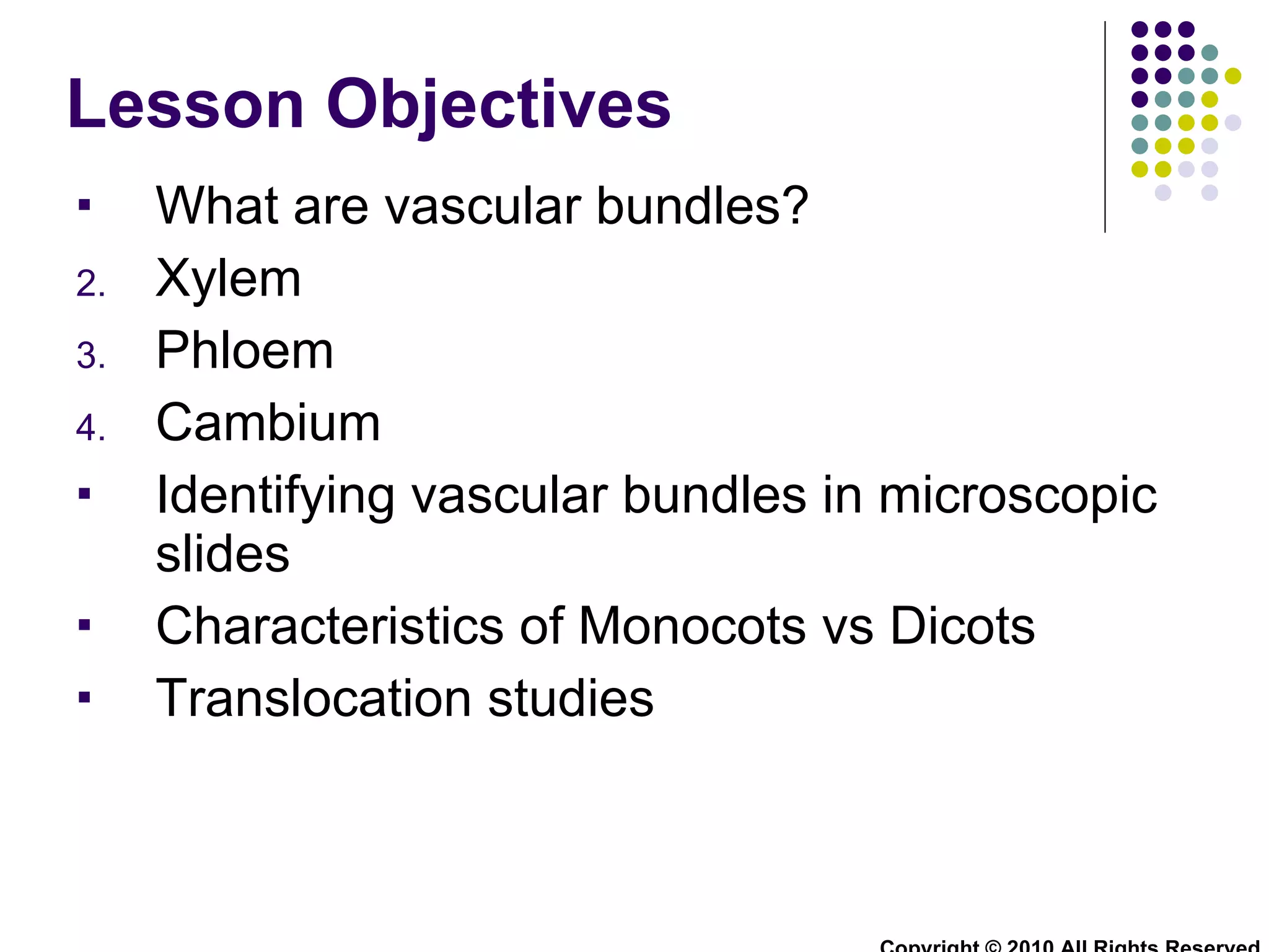 Chapter 9 Transport in Plants Lesson 1 - Monocotyledons and dicot | PPT