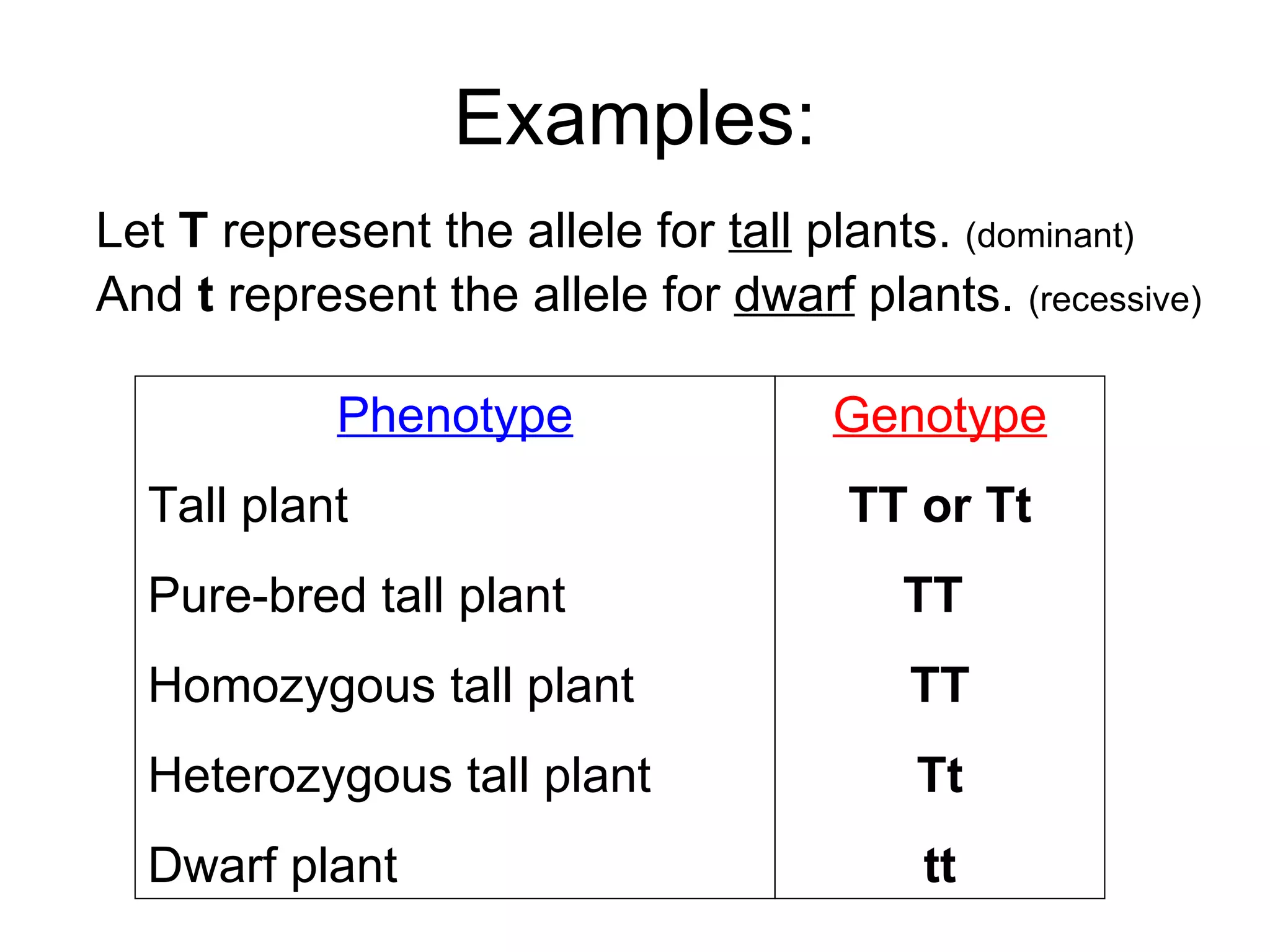 Chapter 19 Heredity Lesson 1 - Monohybrid Cross and Test Cross | PPT