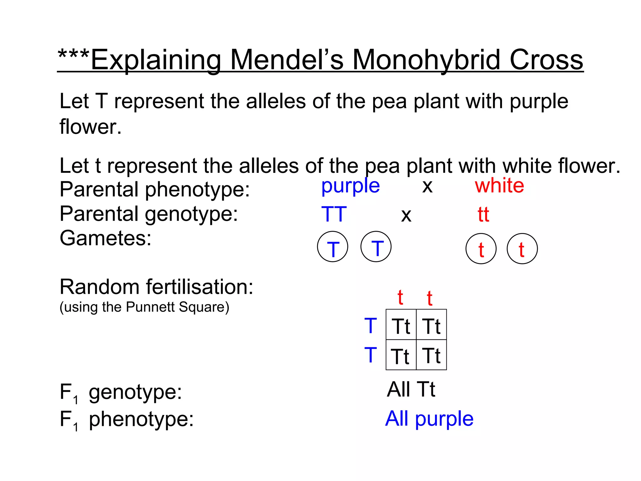 Chapter 19 Heredity Lesson 1 - Monohybrid Cross and Test Cross | PPT