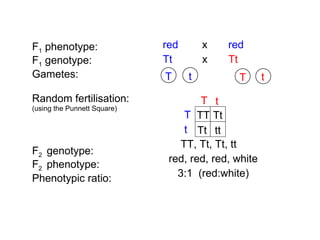 Chapter 19 Heredity Lesson 1 - Monohybrid Cross and Test Cross | PPT