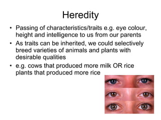 Chapter 19 Heredity Lesson 1 - Monohybrid Cross and Test Cross | PPT