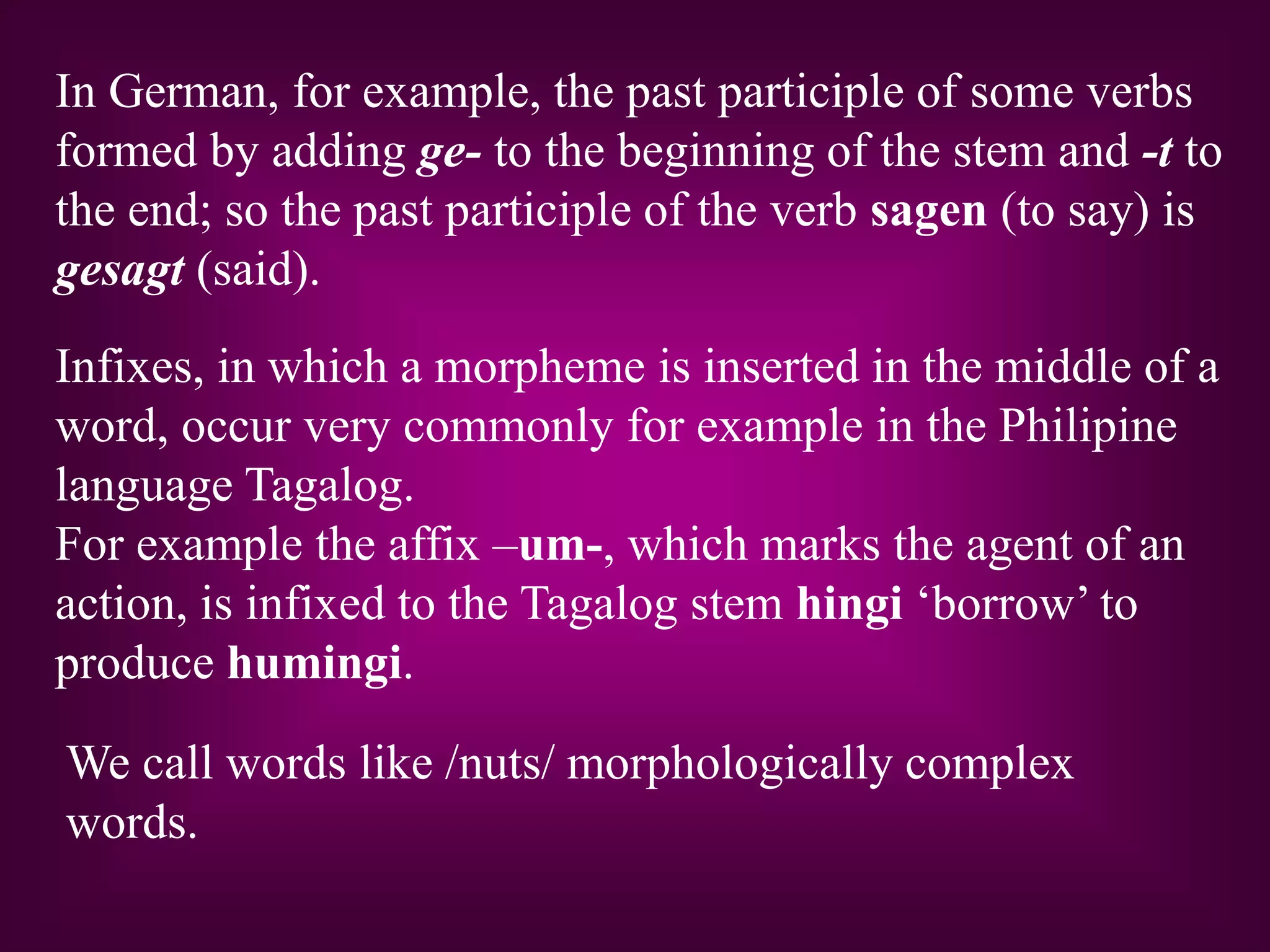 1 morphology class 1 | PDF