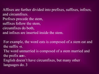 1 morphology class 1 | PPT