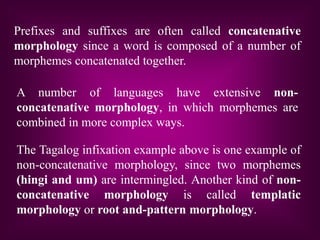 1 morphology class 1 | PDF