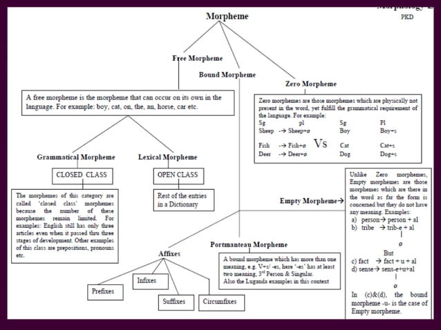 1 morphology class 1 | PPT
