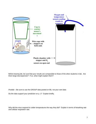 1 mouse homeostasis lab | DOC