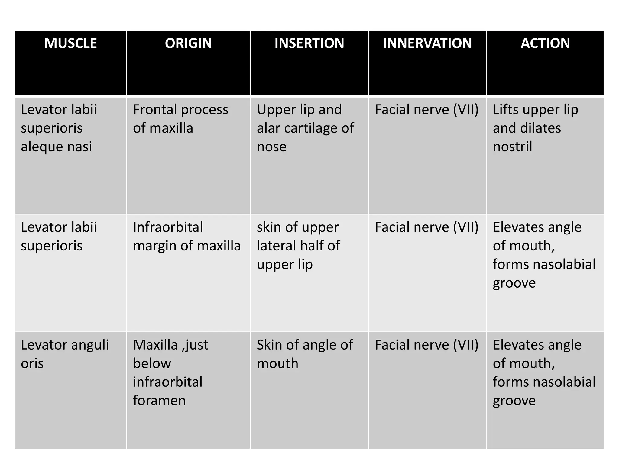 1 Muscles of facial expression and mastication.pptx