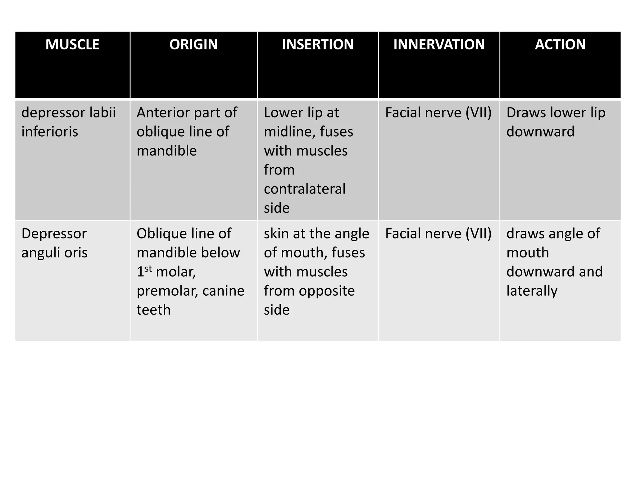 1 Muscles of facial expression and mastication.pptx