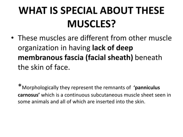 1 Muscles of facial expression and mastication.pptx