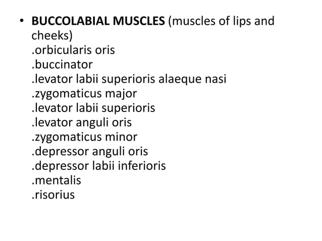 1 Muscles of facial expression and mastication.pptx