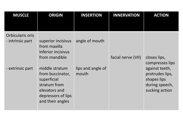 1 Muscles of facial expression and mastication.pptx