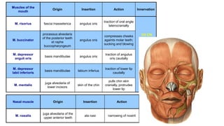 1) Muscles of the head and neck.pdf | Death, Injury, or Military ...