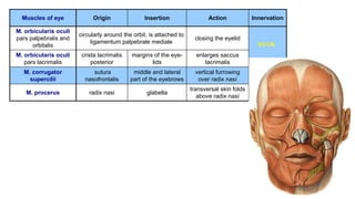 1) Muscles of the head and neck.pdf