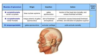 1) Muscles of the head and neck.pdf