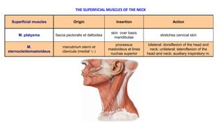 1) Muscles of the head and neck.pdf