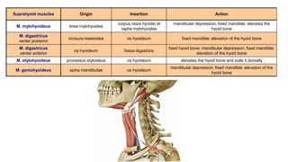 1) Muscles of the head and neck.pdf